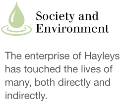 Hayleys PLC Annual Report 2012/13
